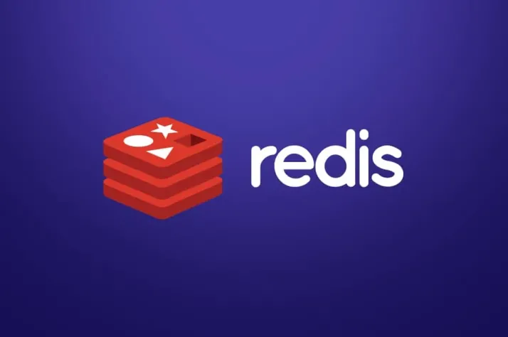 Speed Up Your Web App: The Ins and Outs of Redis | Gerald Villorente